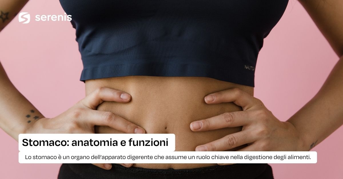 Stomaco: anatomia e funzioni
