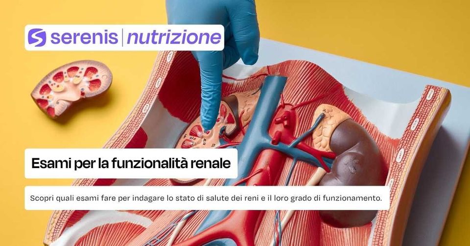 Esami per la funzionalità renale: quali sono e quando farli?