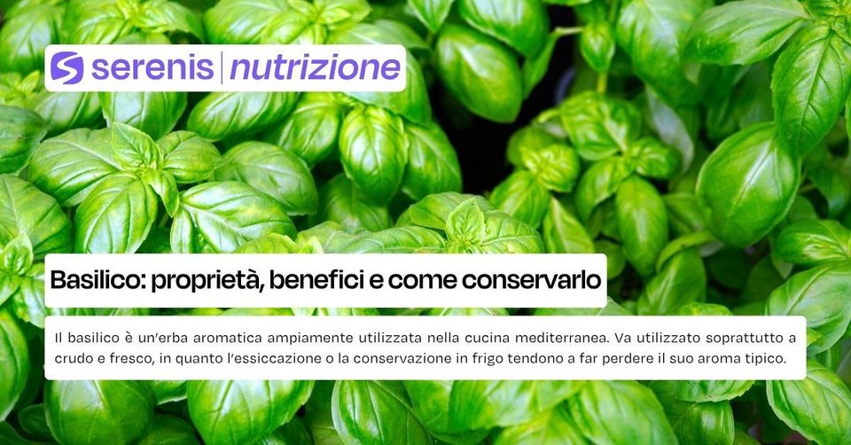 Basilico: proprietà, benefici e come conservarlo