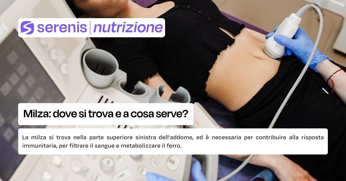 Milza: dove si trova e a cosa serve?