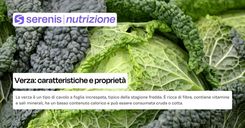 Verza: caratteristiche e proprietà