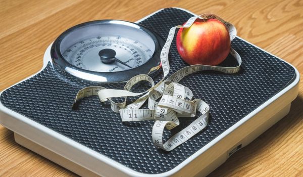 Cos'è la dieta Meta e come funziona | Serenis